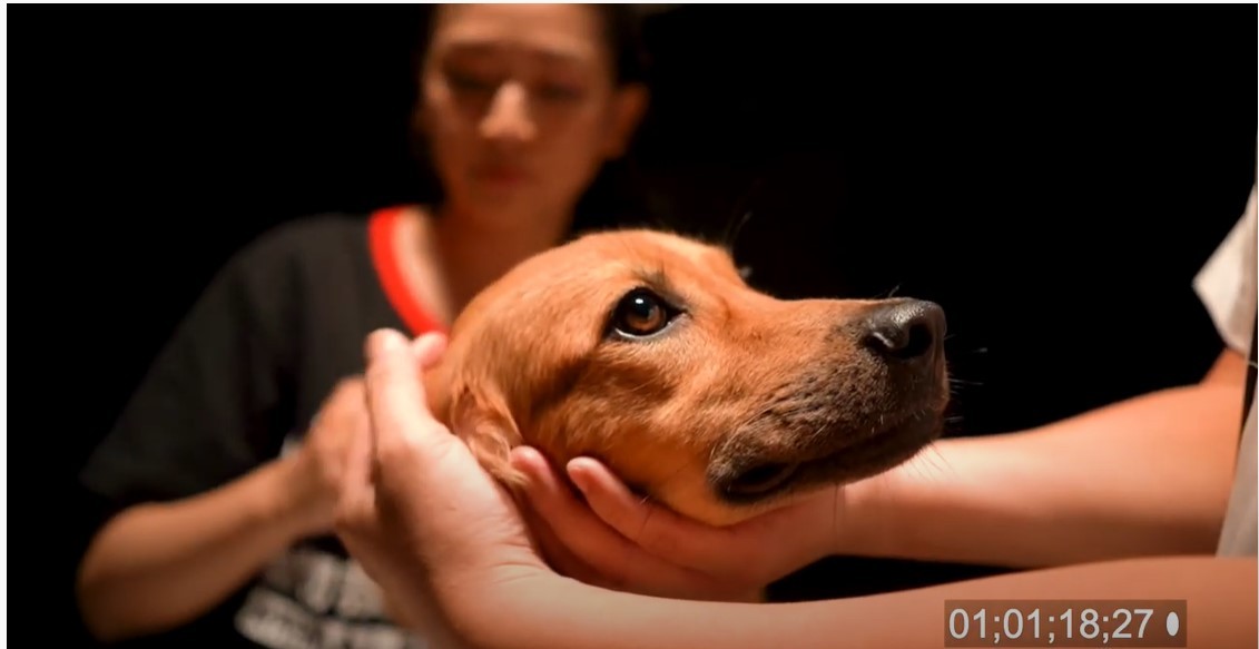 【無聲計程車】The Quiet Taxi - 3DAY 台北影片製作公司｜影片拍攝｜廣告影片｜動畫製作